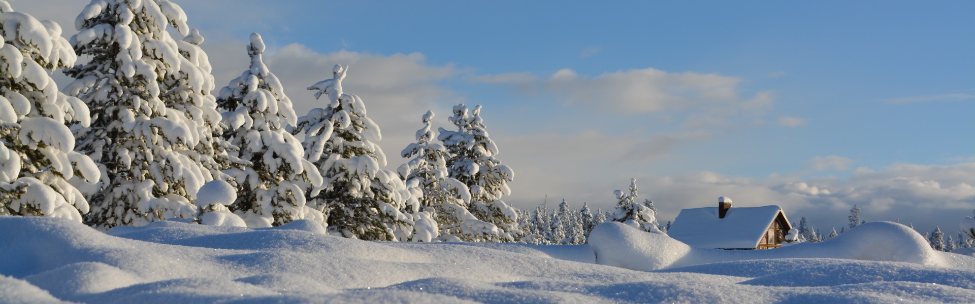 Home | Sardis Elementary School